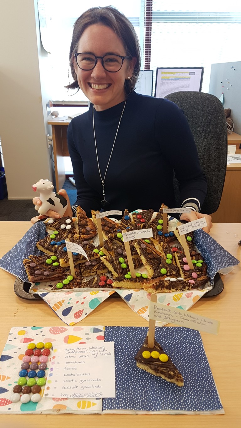 Research cake | WaiBER