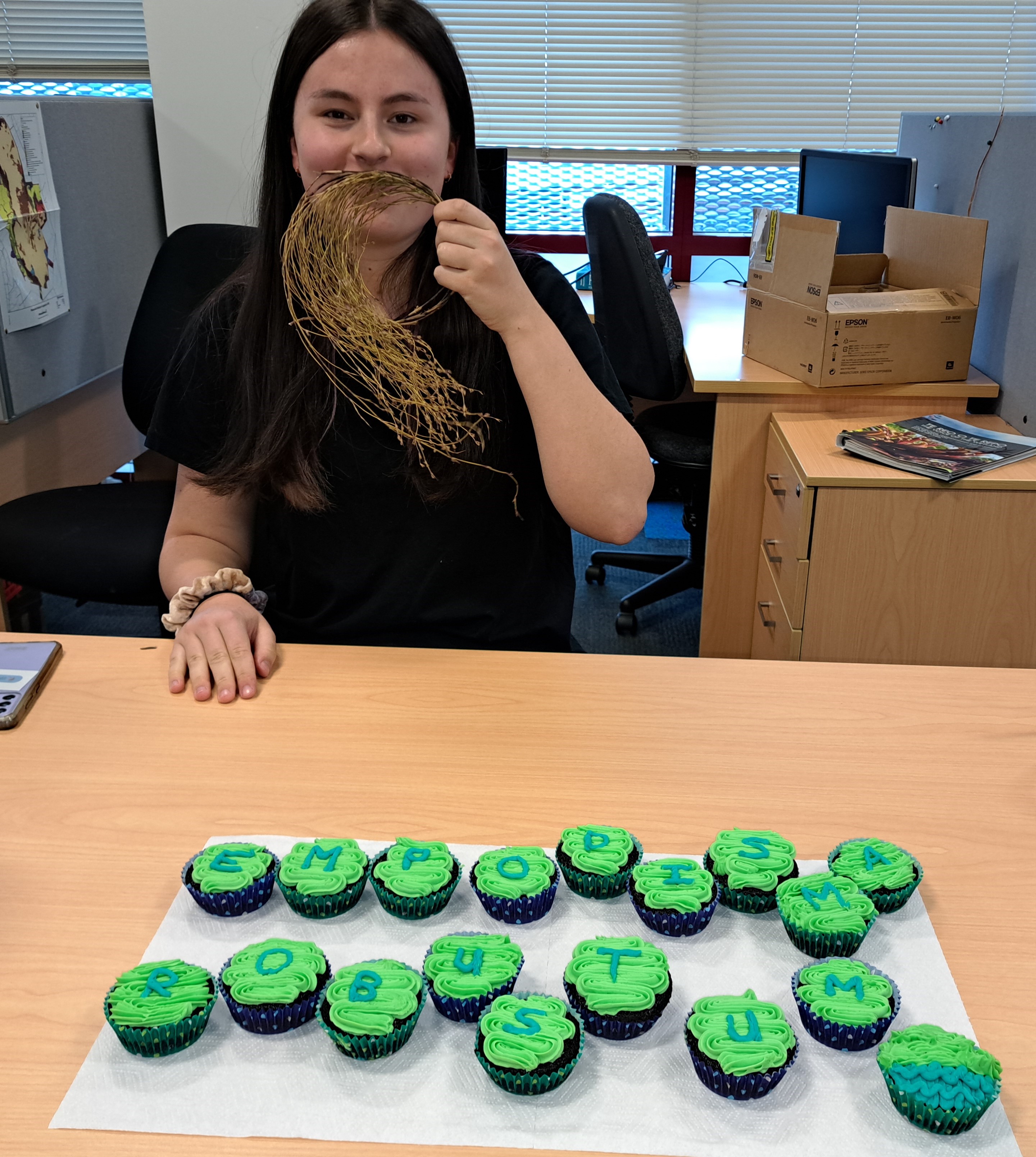 Research cake | WaiBER