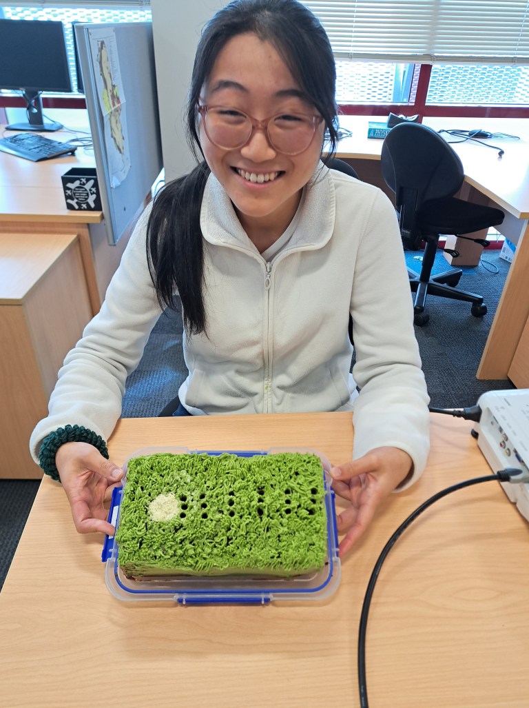 Research cake | WaiBER